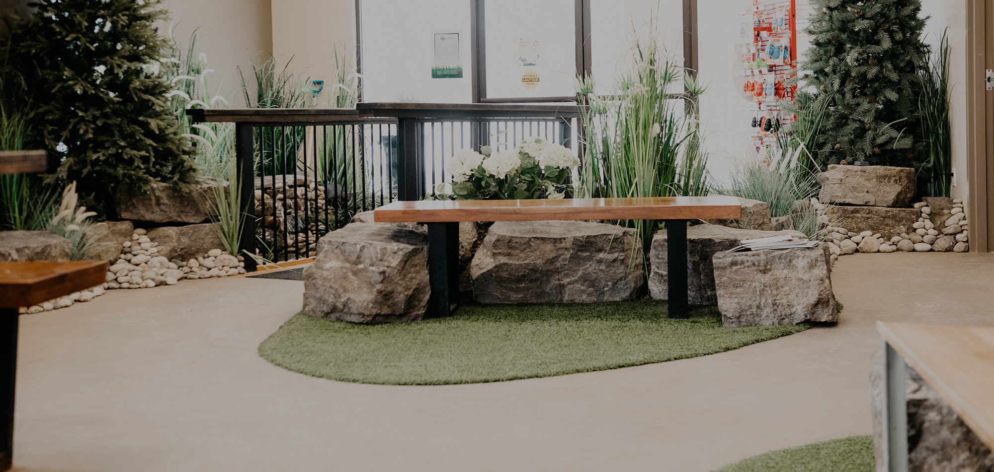 Veterinary Services - Neighbourhood Pet Clinic